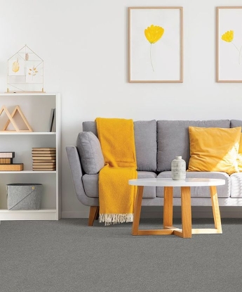 Calm Sanctuary Carpet